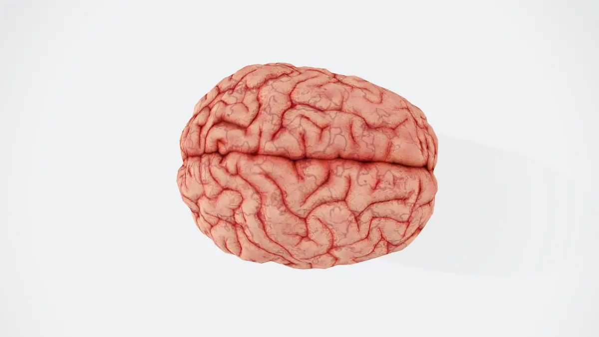 Glioblastoma Survival Rate: 2025 Facts & Treatment