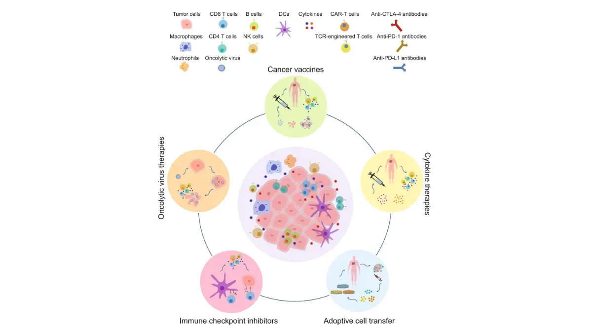 Immunotherapy for Lung Cancer: Works and Who Benefits 2026